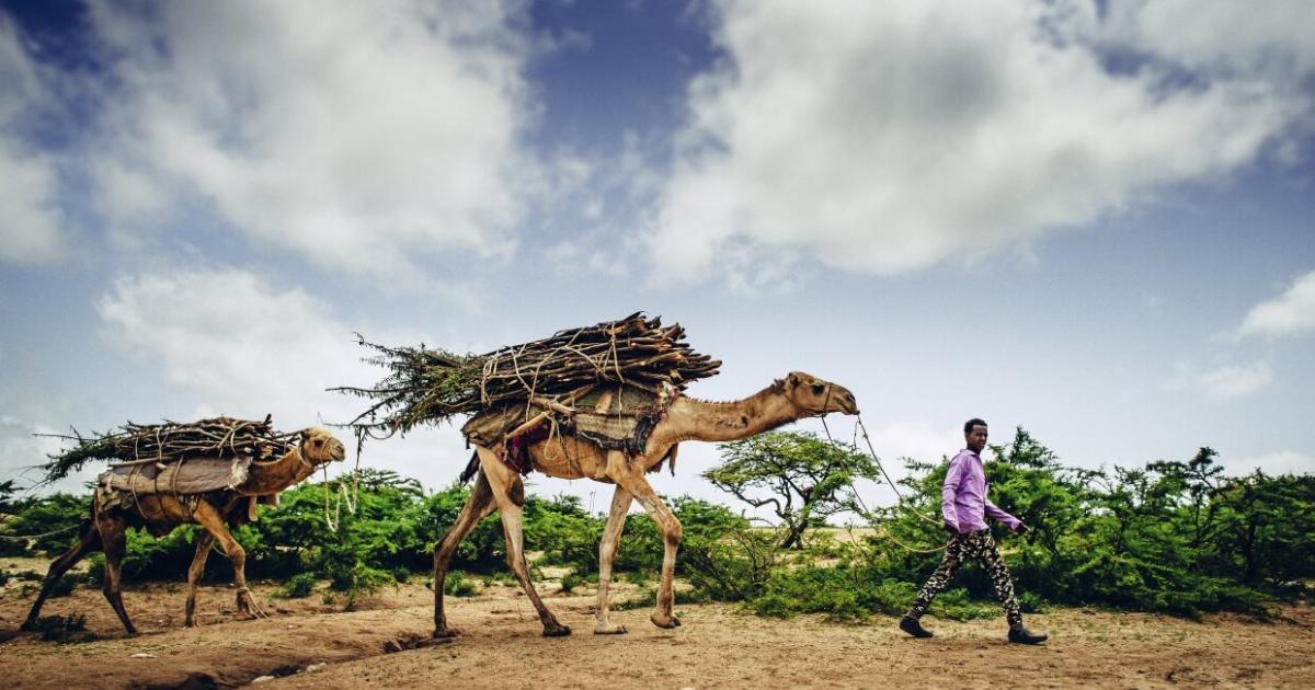How investing in resilience helps fight drought | Mercy Corps