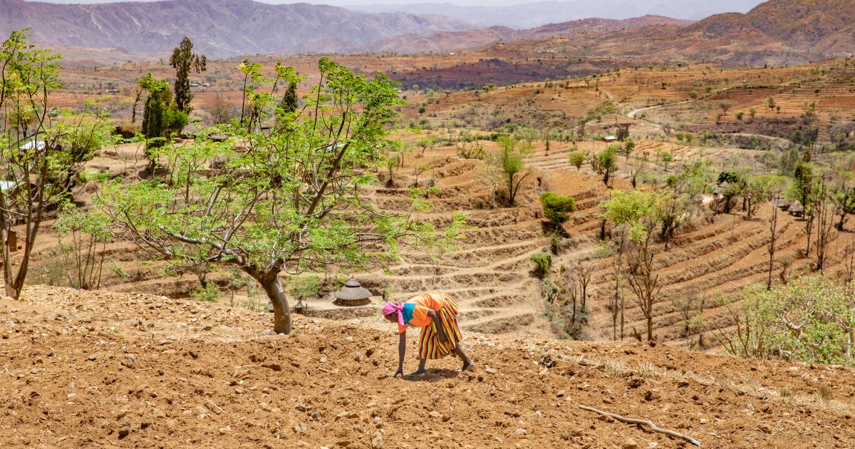 Waiting for rain: Living in a dry season that never ends | Mercy Corps