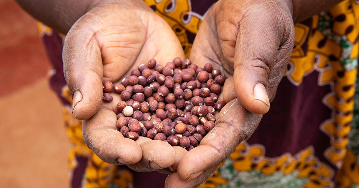 The Libra opportunity for smallholder farmers | Mercy Corps