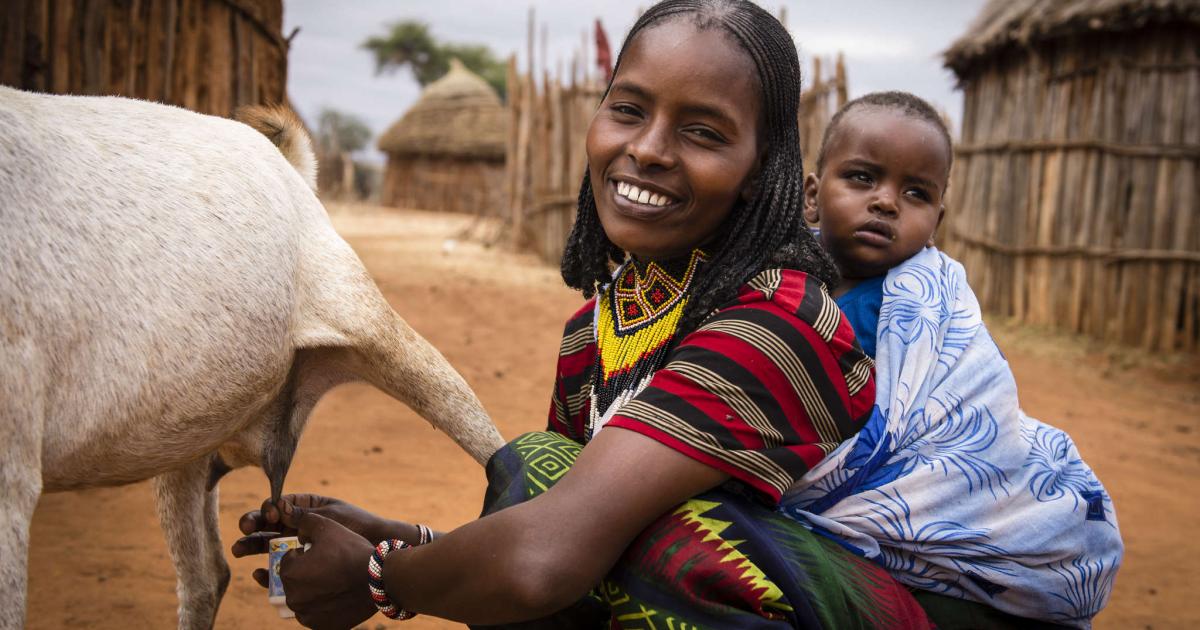 Protecting Development Gains in Ethiopia