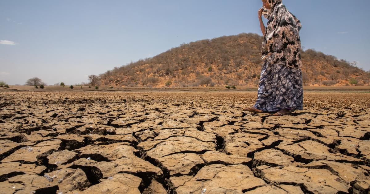 A catastrophic forecast for the Horn of Africa | Mercy Corps
