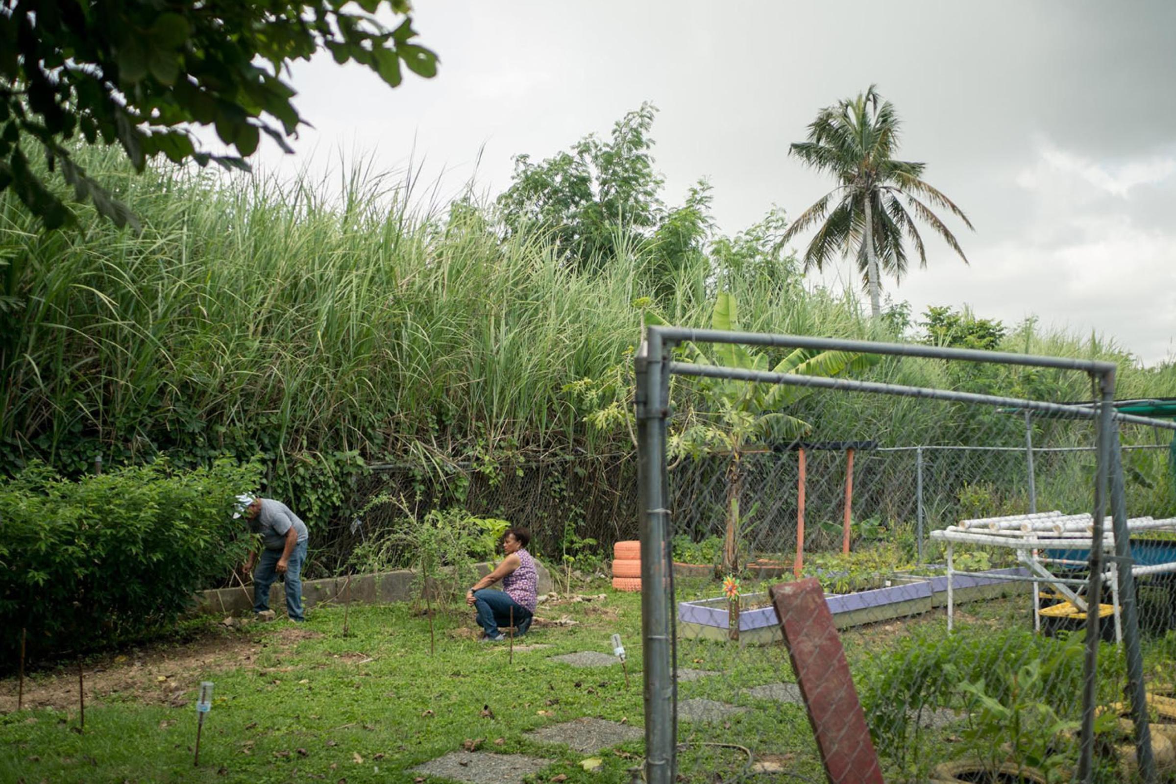 In Puerto Rico, one community leader prepares for what's next | Mercy Corps