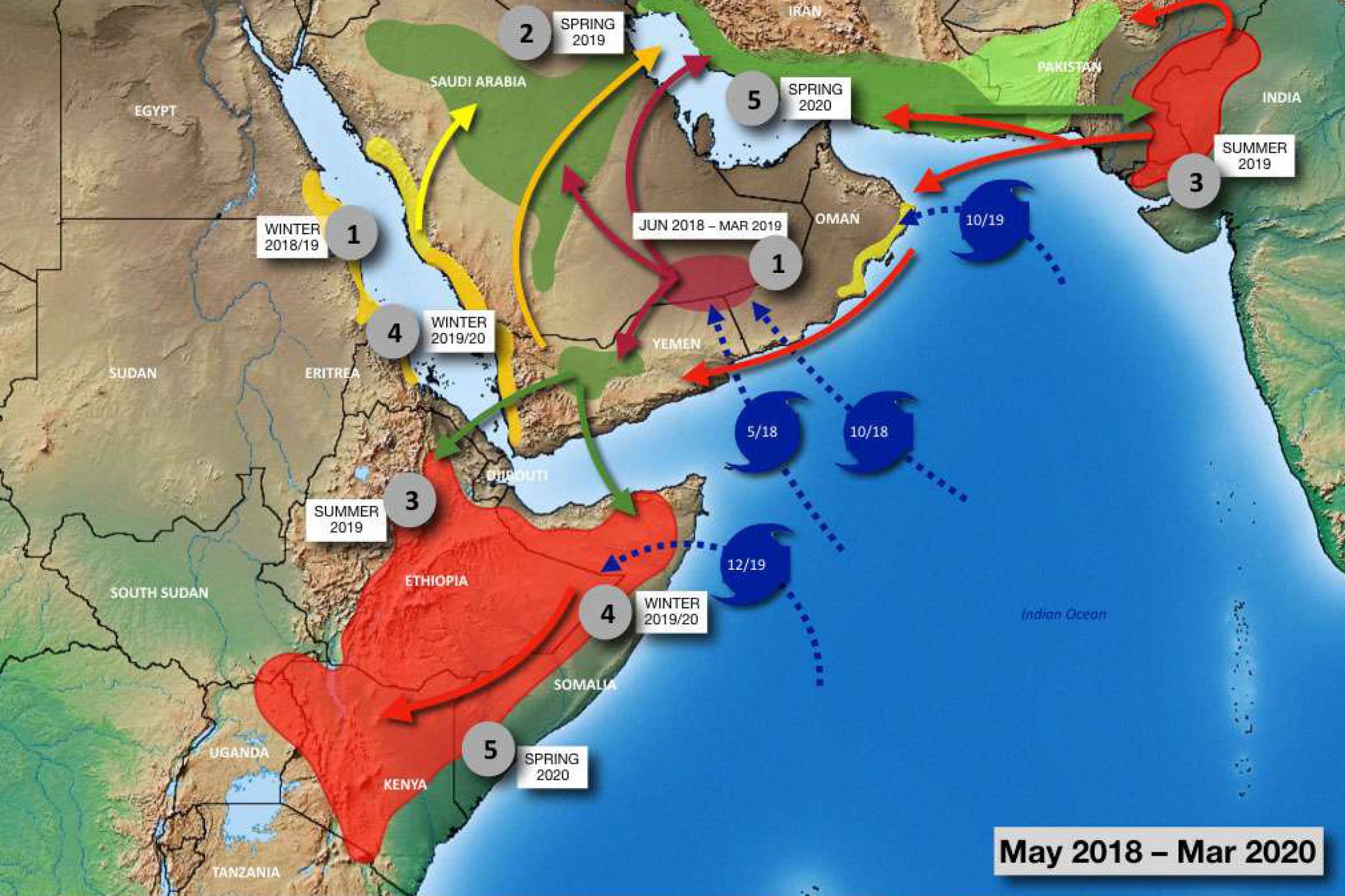 Desert locusts in East Africa: A plague of another order | Mercy Corps