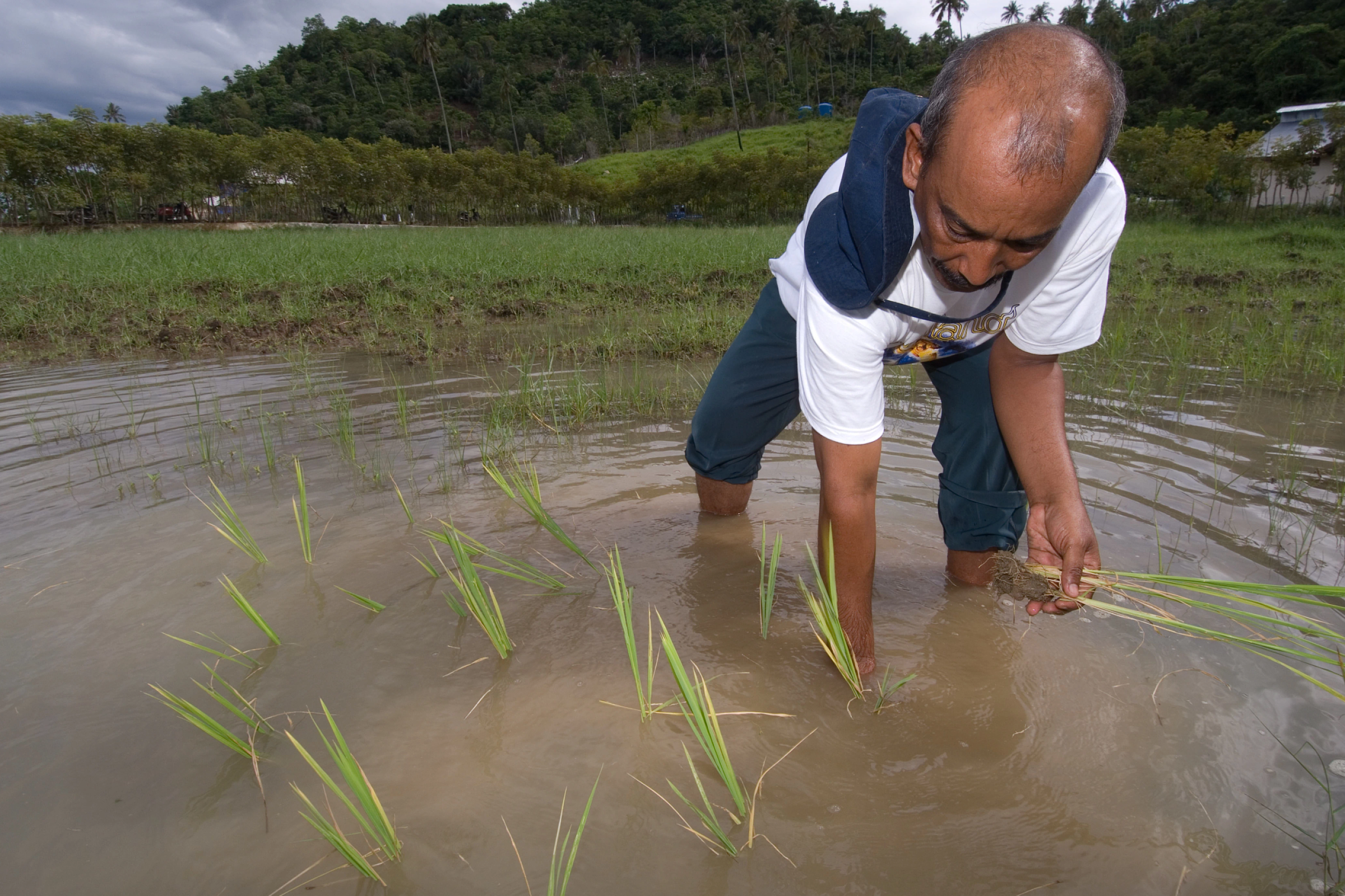 Recovery and resilience: 20 years after the Indian Ocean tsunami ...