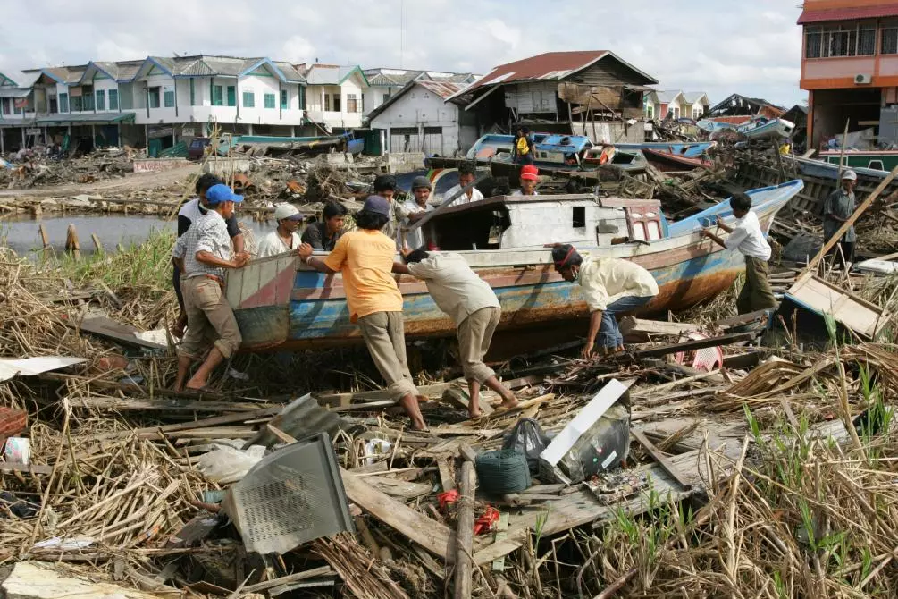 Recovery and resilience: 20 years after the Indian Ocean tsunami ...