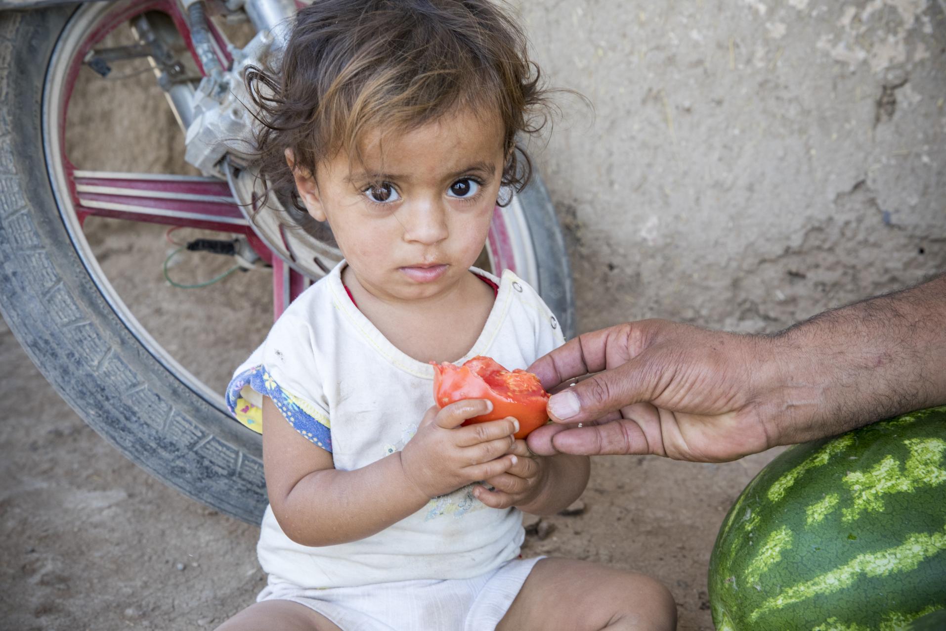 A farmer in Syria | Mercy Corps